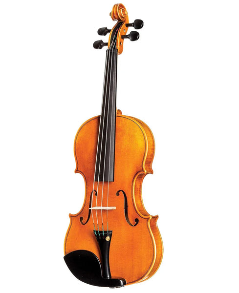 Juliet Tobin's Rental Renewal – D Z Strad Online Shop