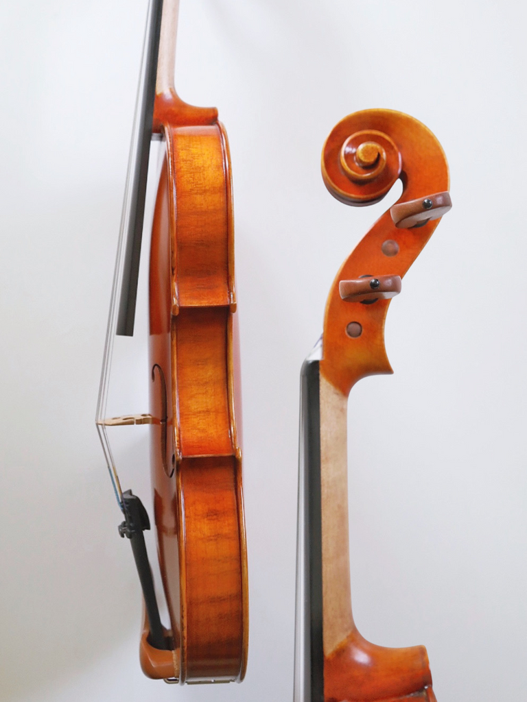 D Z Strad Violin- Model 220- Violin Outfit w/ Open Clear Tone – D Z ...