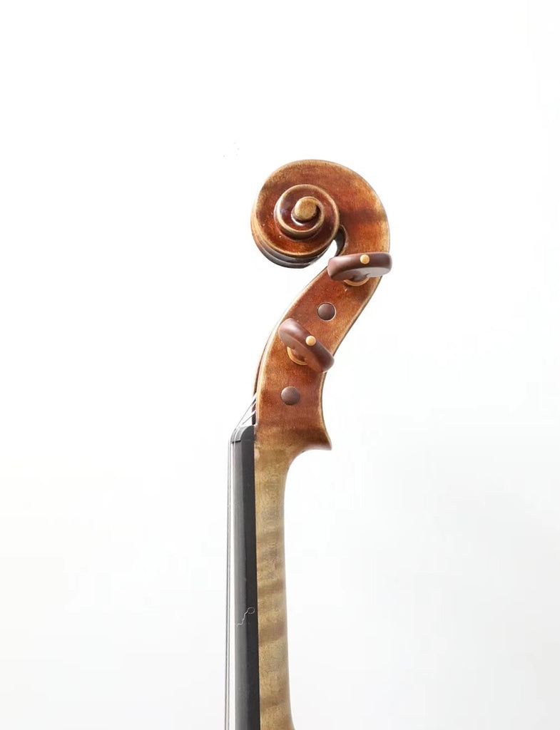 D Z Strad Violin- Model 512- Royal Violin with Handcrafted Scroll and ...